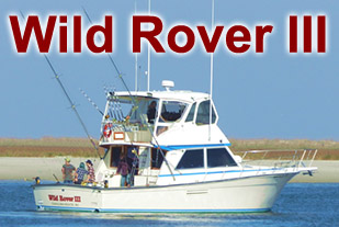 Carolina Beach Fishing Guide - CarolinaBeach.com